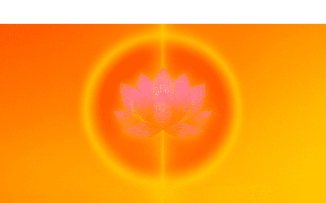 From Purification to Radiance – Deeper body work with the cells ...